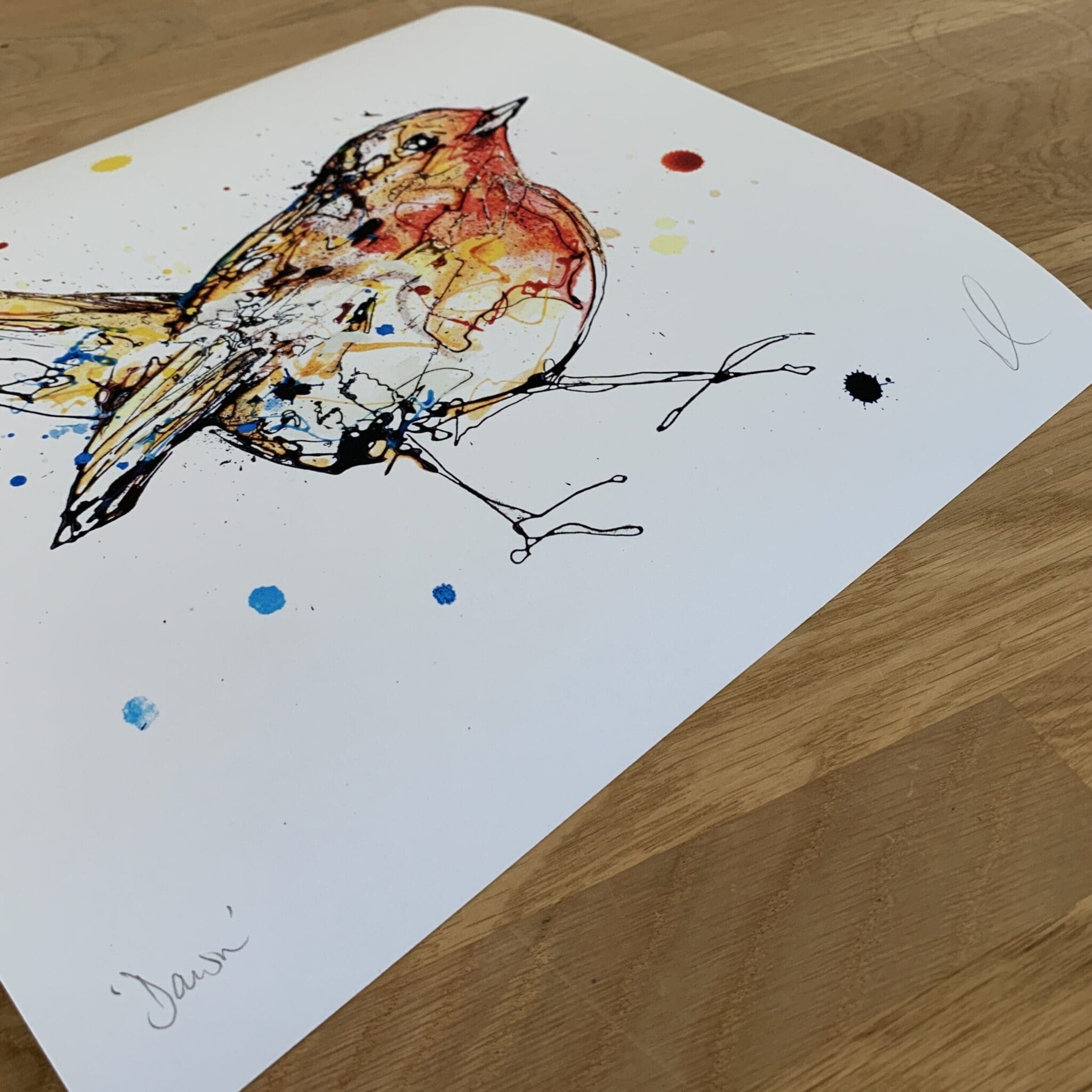 Dawn - Robin Print with Size and Presentation Options by Kathryn Callaghan